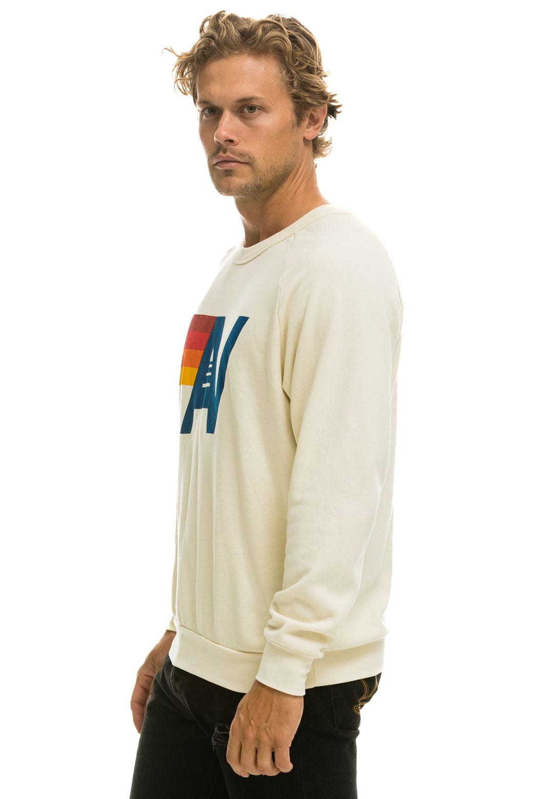 LOGO SWEATSHIRT - VINTAGE WHITE - Aviator Nation